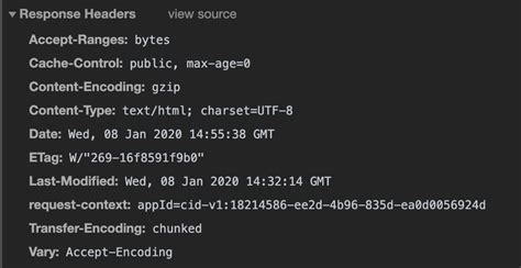 azure how to add cors headers on nuxt static files