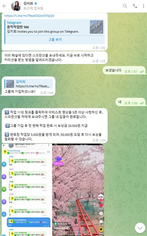 [단독] 무작위로 초대된 텔레그램방서 하이브 사칭 사기… “르세라핌 동영상 시청하면 돈 준다”