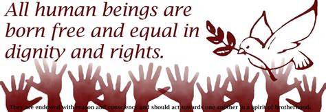 rights and freedoms right by right australian human