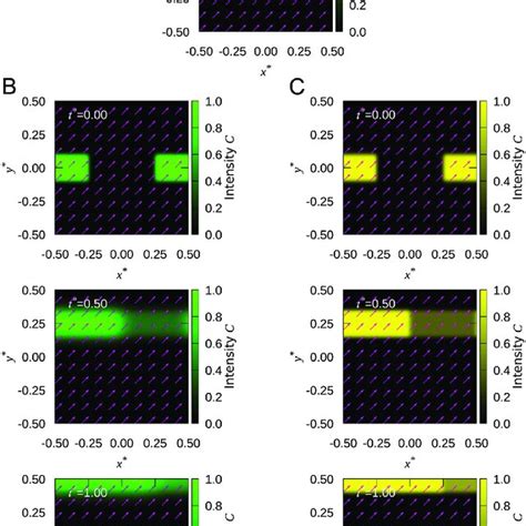 Numerical Simulation Validates The Advection Reaction Model A The