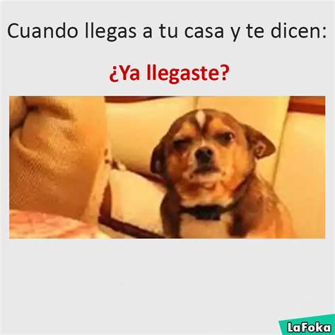 40 Nuevos Chistes E Imágenes Graciosas 2016 Imagenes Chistosas