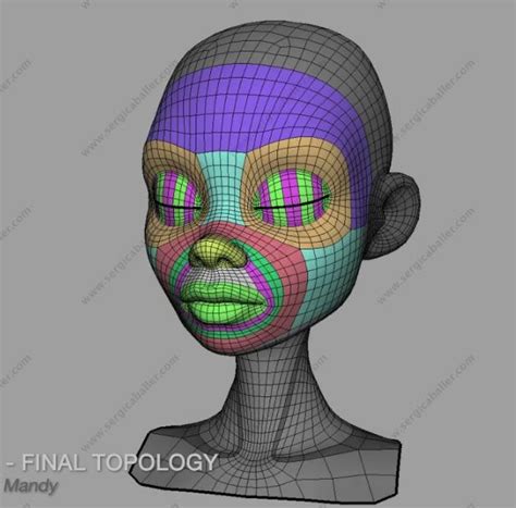 Topology Reference Guide Intro To 3d 60125