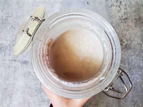 Is My Sourdough Starter Bad How To Revive Old Inactive Starter