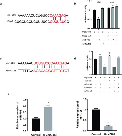 Validation Of The Direct Regulatory Relationships Among Lncrna Mirna