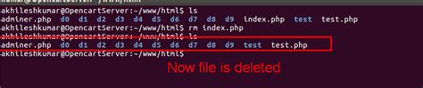 what is ssh and how to connect through terminal webkul blog