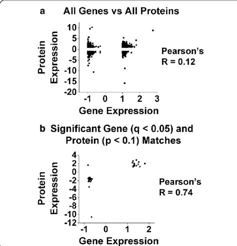 Transcriptome Proteome Expression Correlation In Mecp2 Jae Y Cortex A