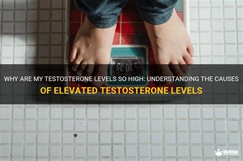 Why Are My Testosterone Levels So High Understanding The Causes Of