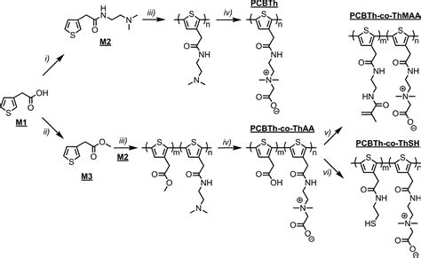 Integrated Zwitterionic Conjugated Poly Carboxybetaine Thiophene As A