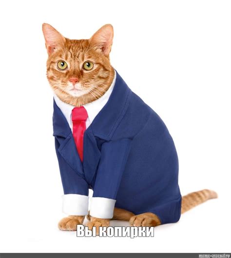Создать мем кошка кот в пиджаке и галстуке деловой кот Картинки