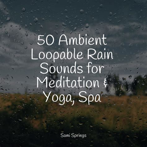 50 Ambient Loopable Rain Sounds For Meditation And Yoga Spa Album By