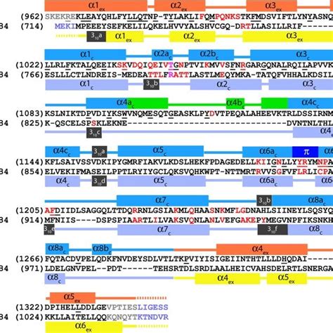 surface representation of sequence conservation and model contacts