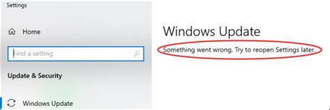 quick guide to solve windows update something went wrong minitool