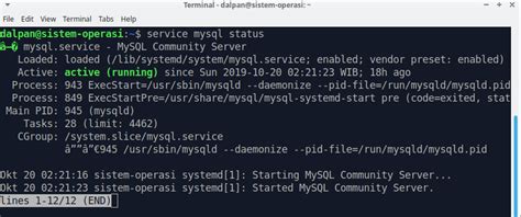 resolve opt lampp bin rver 260 kill no such process tegalsec