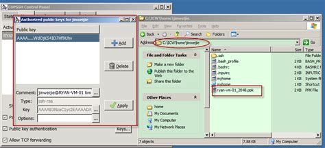 step by step setup git server on windows with copssh