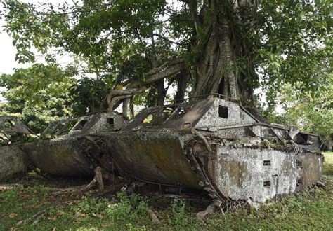 やっと故郷へ 英霊の涙雨 ガダルカナル島 遺骨捜索・収集 読んで見フォト 産経フォト