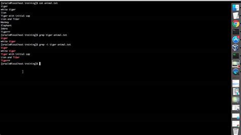 how to use cat command with grep