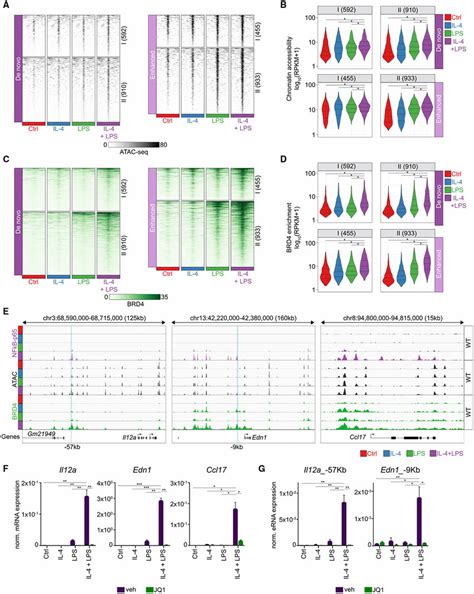 The Il 4 Priming Facilitated Nf κb P65 Binding And Enhancer Activity Is