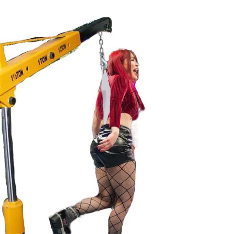 Iyo Sky Crane Wedgie Edit By Wwedivawedgies On Deviantart