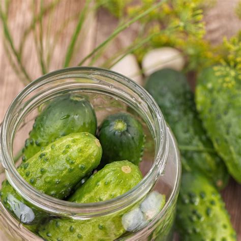cucumber national pickling seeds the seed collection