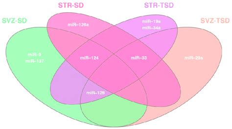 Venn Diagram Of Differentially Expressed Mirnas Analysis In Svz And Str