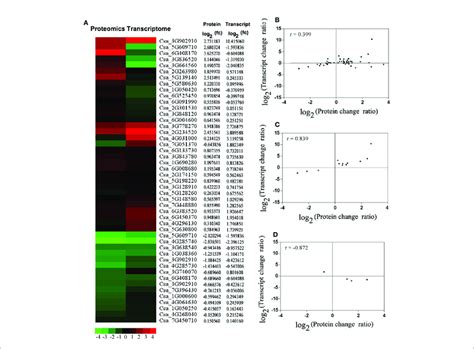 The Correlation Analysis Based On Proteomics And Transcriptome A