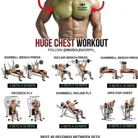 Pectorals Chest Workouts Ultimate Chest Workout Chest Workout
