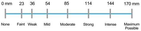 The Visual Analog Scale Vas Download Scientific Diagram