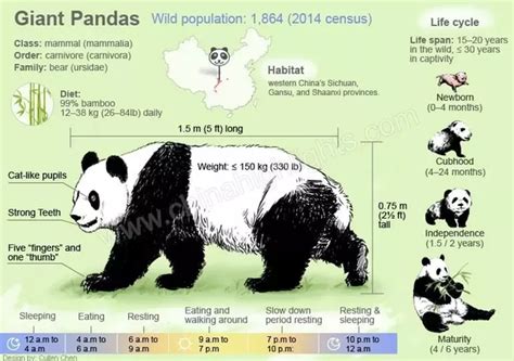 why do pandas hate reproducing quora