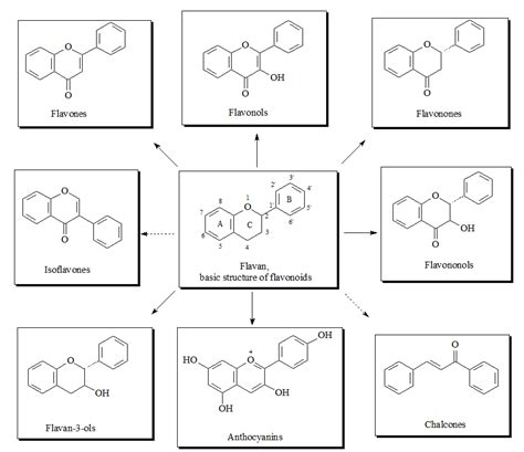 Flavonoids—classification And Natural Sources Encyclopedia Mdpi