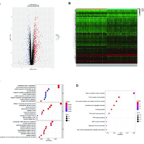 Degs Identification And Functional Enrichment Analysis A B Volcano