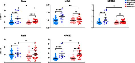 Gene Expression Of Nf κb Subunits And Subunit Precursors In The