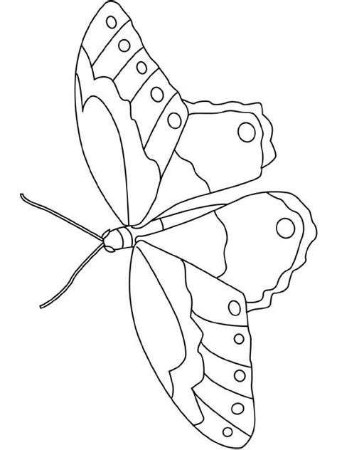 Coloriages De Insectes