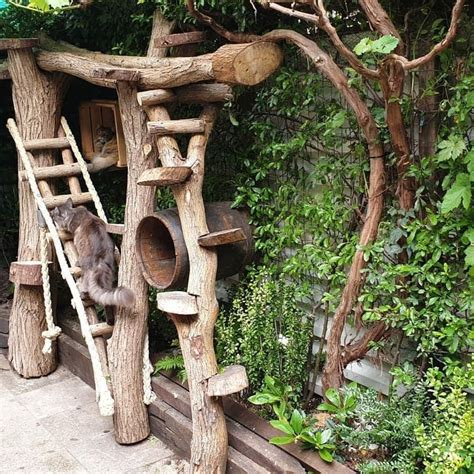 30 Diy Catio Ideas That Are Totally Pawsome Artofit