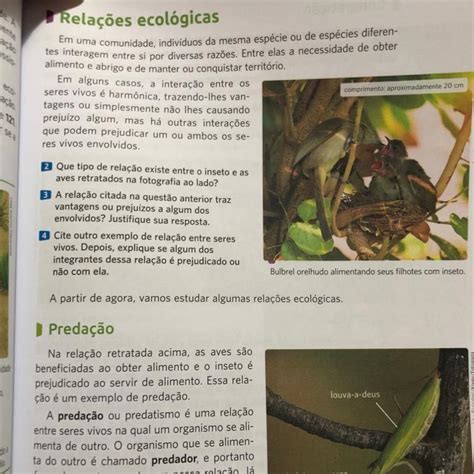 2 Que Tipo De Relação Existe Entre O Inseto E As Aves Retratados Na