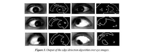 driver distraction detection using machine vision techniques
