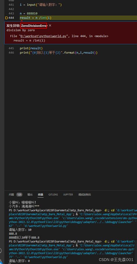 python之异常处理 python中怎样写除数不能为零 王先森001的博客 csdn博客