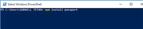 passport middleware module in node js
