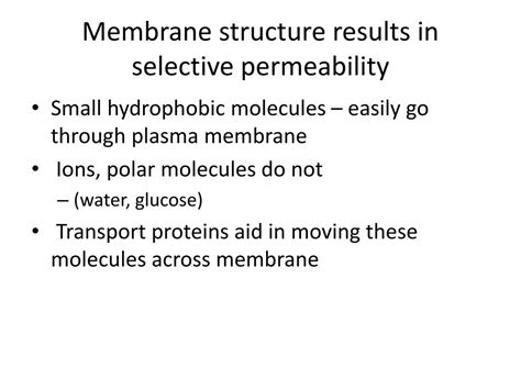 Ppt Membrane Structure And Function Powerpoint Presentation Free