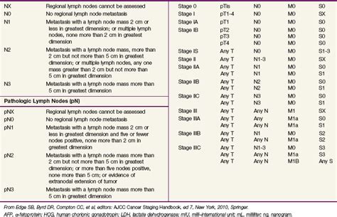 Stages Of Testicular Cancer