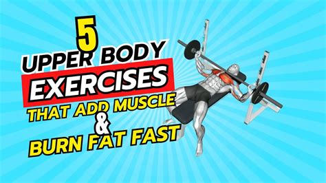 5 Upper Body Exercises To Add Muscle And Burn Fat Fast Youtube