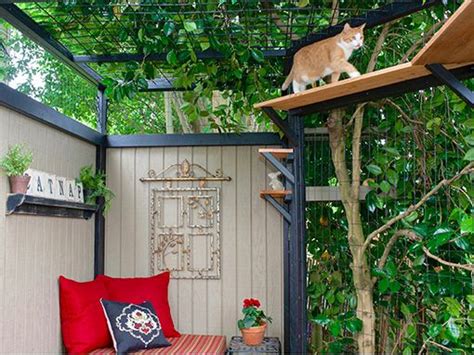 Cat Owners Everywhere Are Building Catios In Their Backyard These