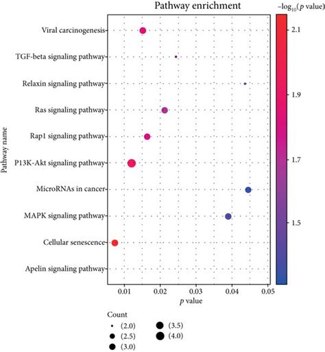 Predictive Target Gene And Go Annotation And Kegg Pathway Enrichment