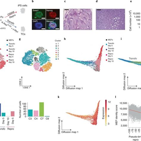 Comparing Single Cell Trajectories Of Reprogramming And Download
