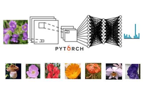 a beginner s tutorial on building an ai image classifier using pytorch