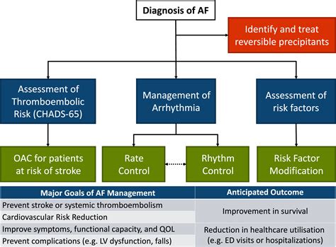 The 2020 Canadian Cardiovascular Society Canadian Heart Rhythm Society