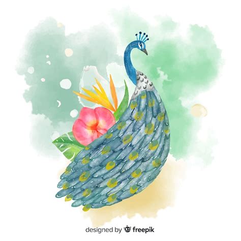 Premium Vector Lovely Peacock In Watercolor Style