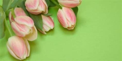 turn a volatile relationship into a validating one dr jeanette