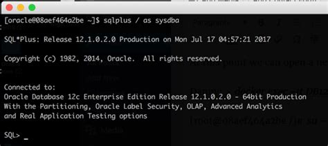 using the oracle instant client with docker and oracle db12c dbaontap