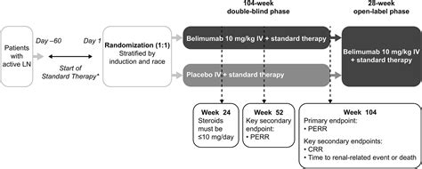 Efficacy And Safety Of Belimumab In Patients With Lupus Nephritis
