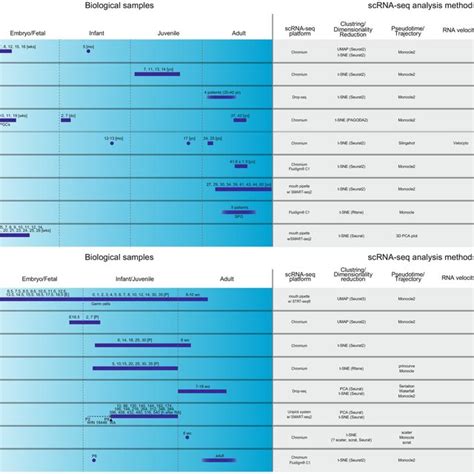 Human And Mouse Spermatogenesis Single‐cell Rnaseq Analysis Datasets